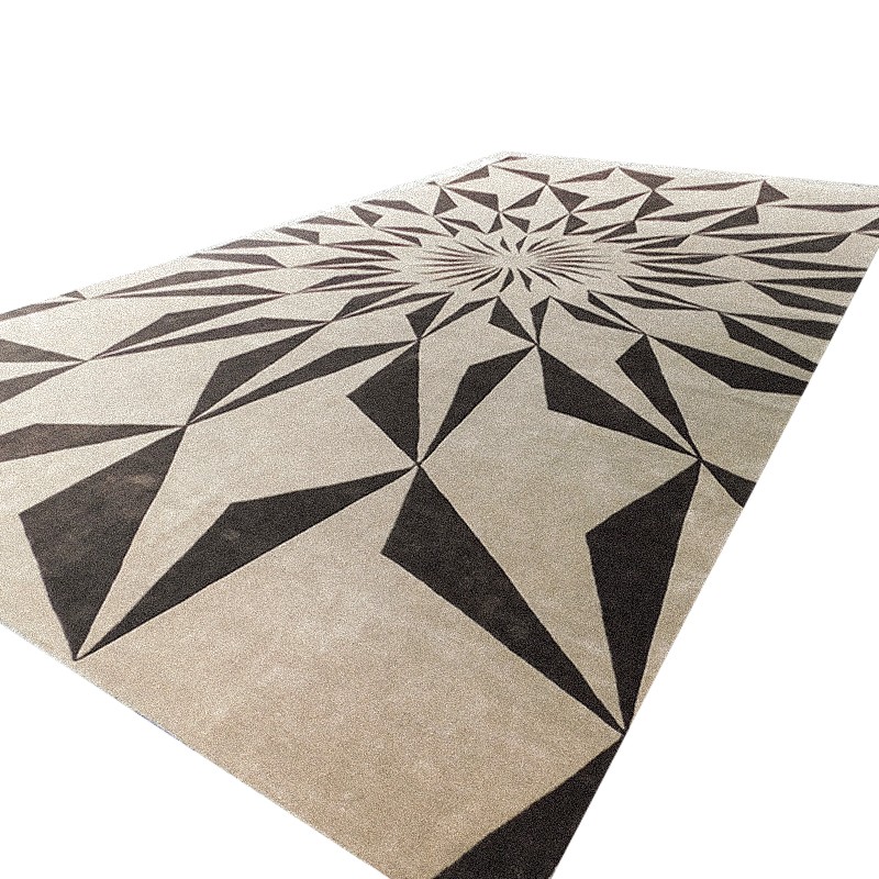 Sun Rays | Rugs | Arcedior