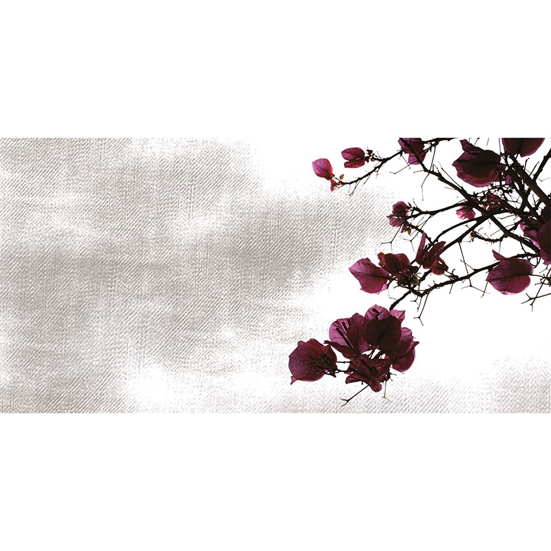 Flo | Wallpapers | Arcedior